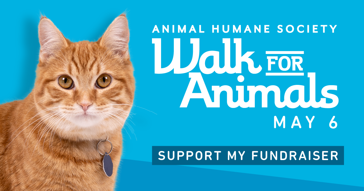 Animal Humane Society: Digital Toolkit
