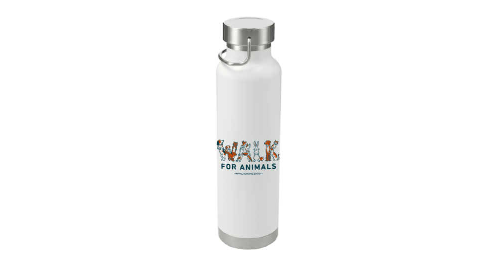 Walk for Animals prizes | Animal Humane Society